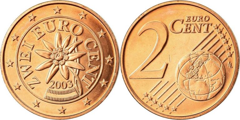 Inilah 7 Fakta Menarik Bunga Edelweis - BookingTogo