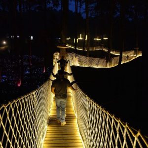 Orchid Forest Cikole Lembang, Review Lengkap, HTM, Lokasi, Daya Tarik ...