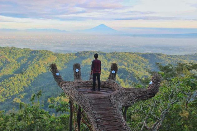 Hutan Pinus Pengger Jogja: Harga Tiket Masuk, Lokasi, & Aktivitas ...