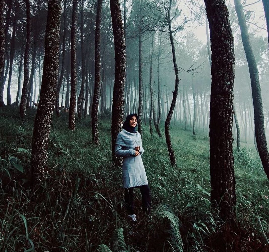 Menikmati Matahari Terbit di Gunung Putri Lembang, Bandung - BookingTogo