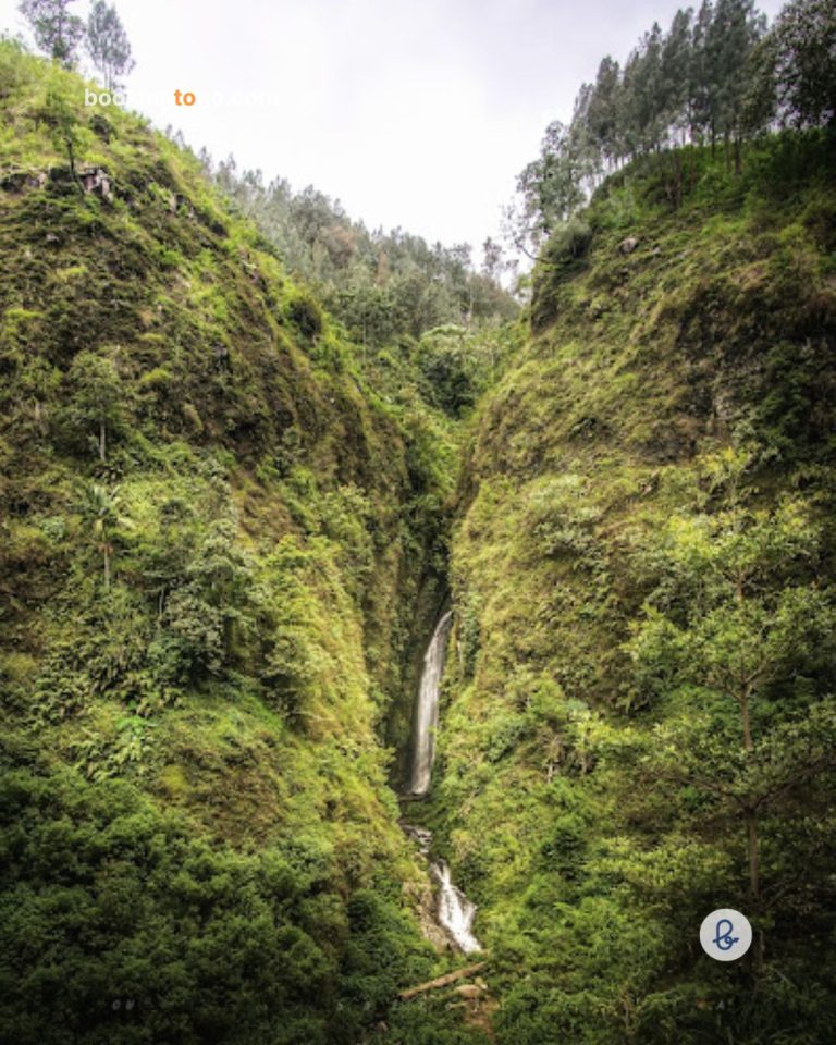 Bumi Perkemahan Coban Lembah Ayu, Spot Menenangkan Fikiran yang Asik ...