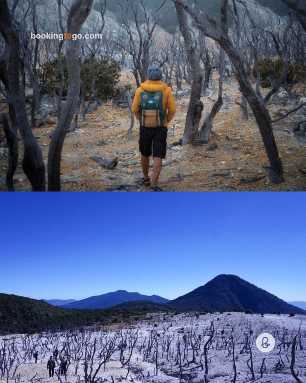 Hutan Mati Gunung Papandayan, Indahnya Pesona Alam di Garut - BookingTogo