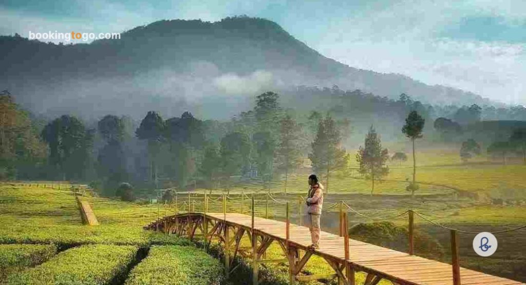 Riung Gunung Pangalengan, Swiss-nya Kota Bandung yang Menawan - BookingTogo