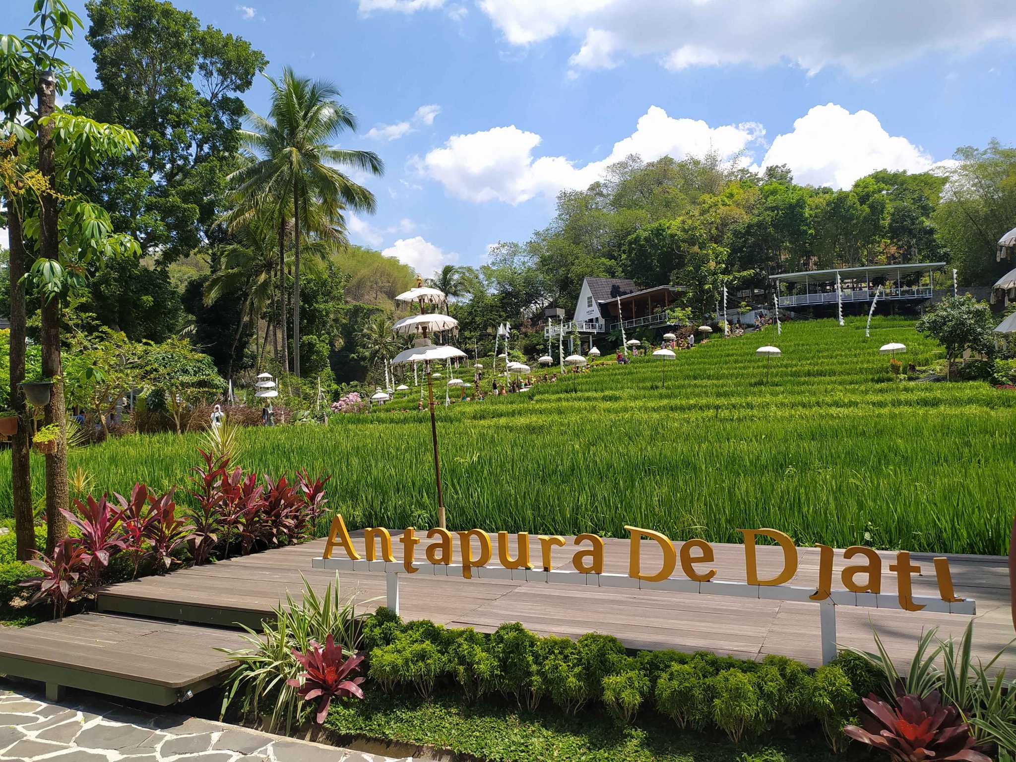 Rekomendasi Penginapan Antapura De Djati Wisata Garut Rasa Ubud, Harga ...