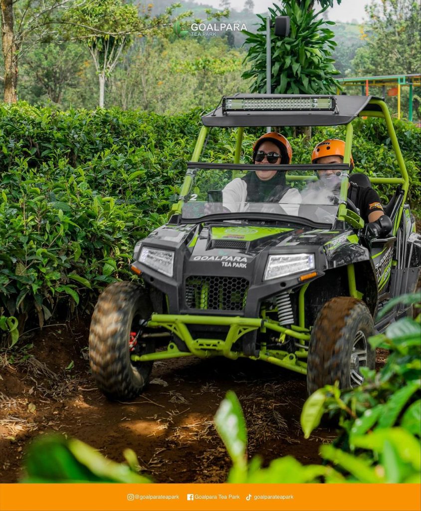 Harga Tiket, Lokasi dan Aktivitas Wisata Goalpara Tea Park Sukabumi